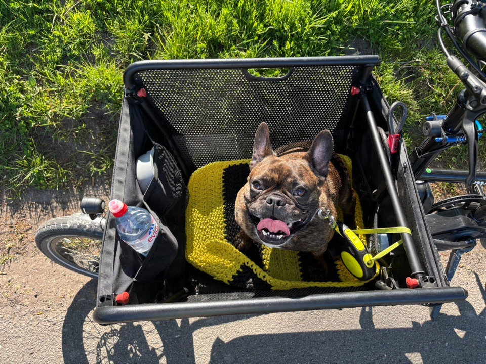 Muli bakfiets hond: veilig en comfortabel je hond vervoeren